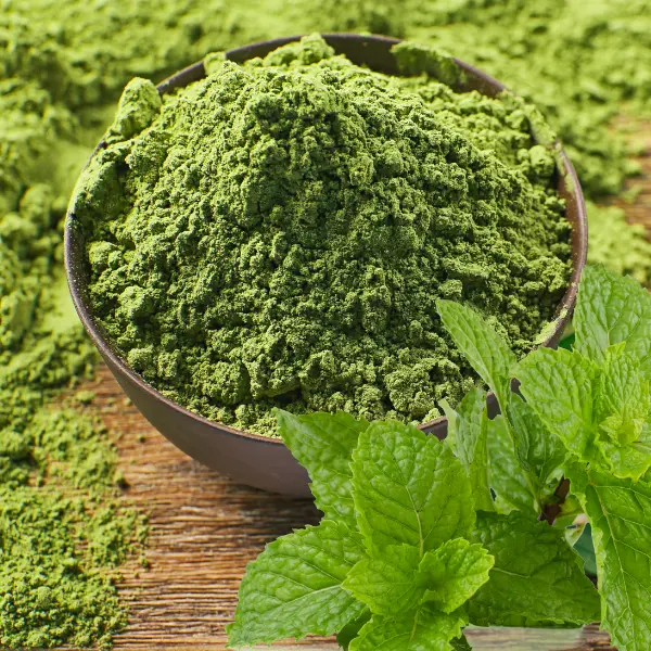 Mint powder 100 grams - Rosomart